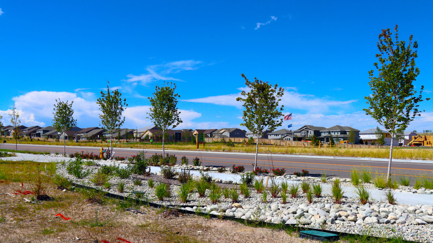 Looking Glass - Nelson Pipeline